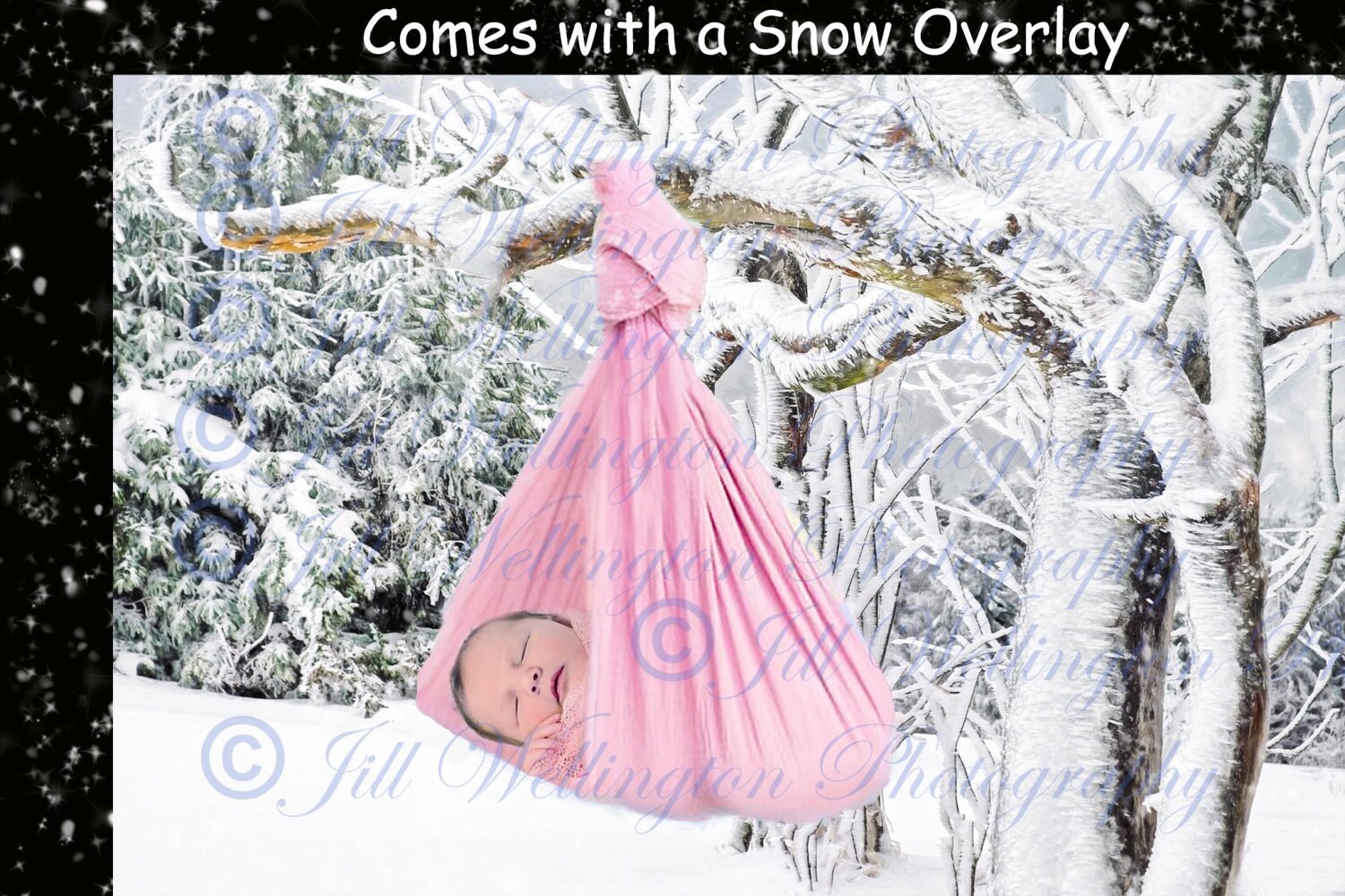 DIGITAL Winter Baby Pink Sling Background, Backdrop for Photographers ...