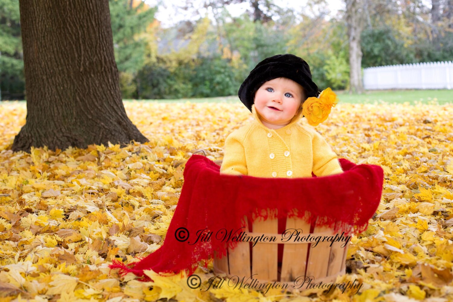 DIGITAL Background for Baby Child Infant Newborn Kid Photo Photography ...