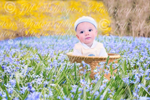 DIGITAL Spring Background Backdrop Spring Flowers Baby | Etsy