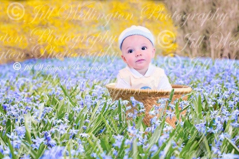 DIGITAL Spring Background, Backdrop, Spring Flowers, Baby Basket ...