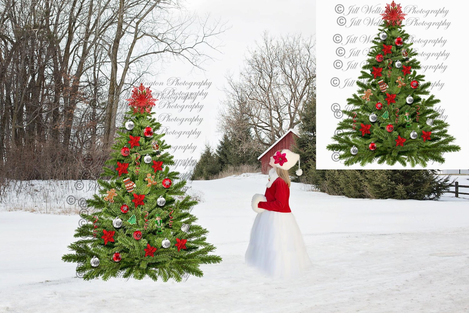 DIGITAL Christmas Tree Overlay PNG for Photographers, Photography ...
