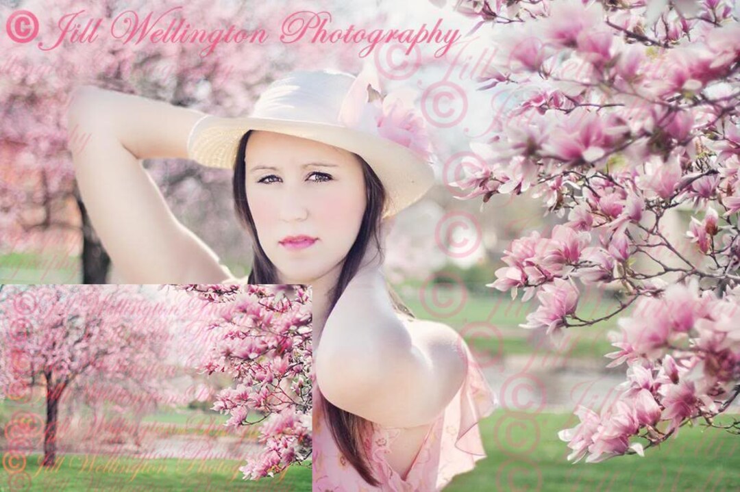 DIGITAL Spring Background, Backdrop, Spring Magnolias, for ...