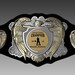 FANTASY FOOTBALL, FFL, Championship Belt, Eagle Series, Rawhide or ...