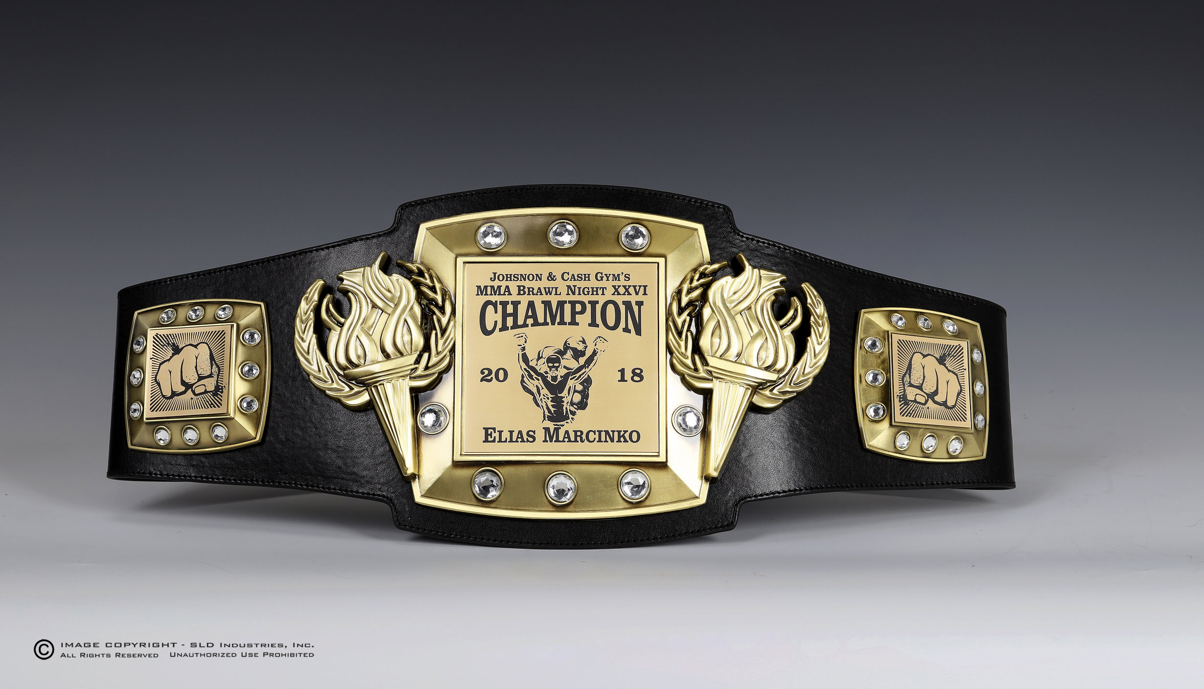 Boxing Championship Belt Trophy Award Perpetual - Etsy