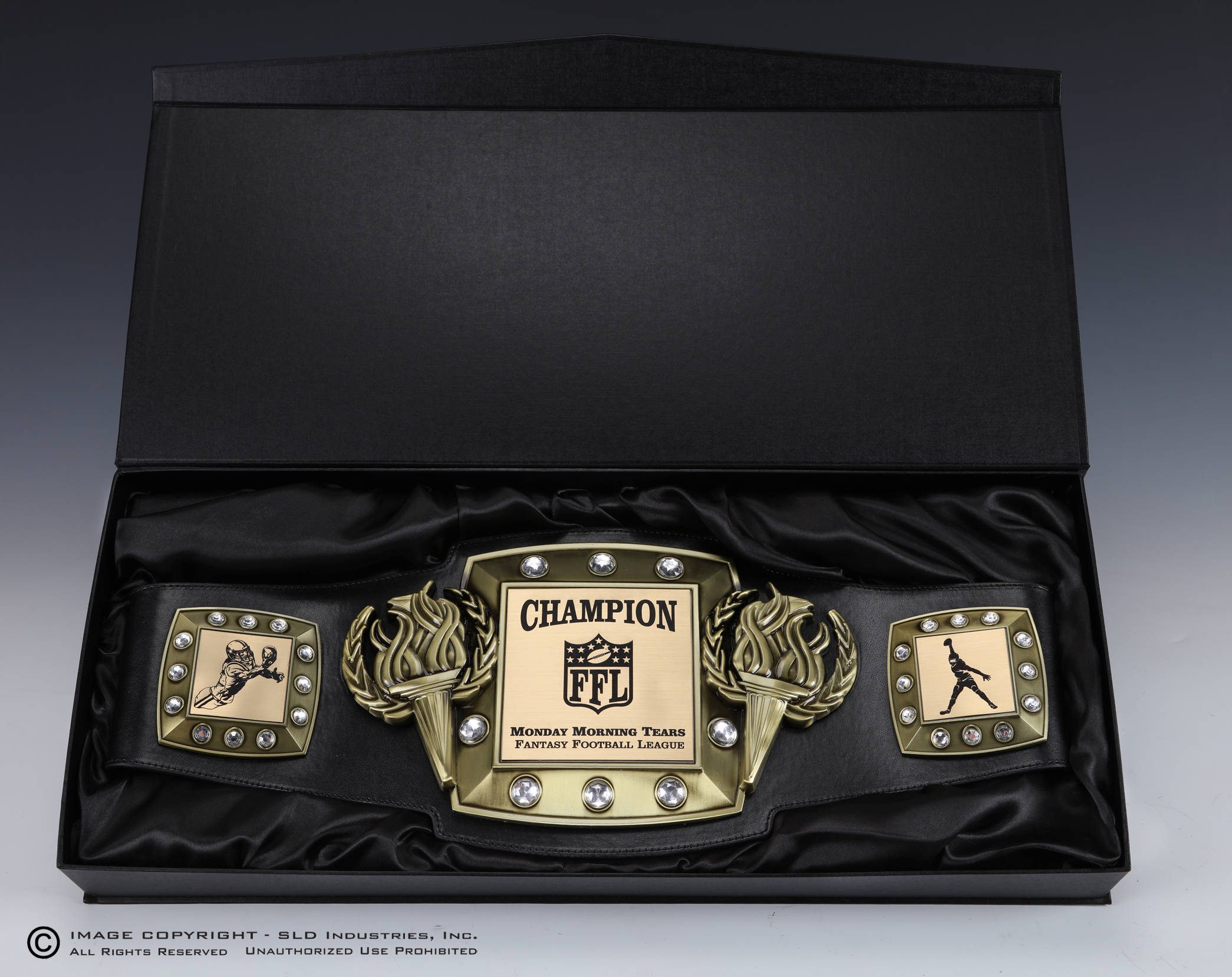 Tennis, Championship Belt, Trophy, Award, Perpetual, Personalized ...