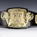 Boxing, Championship Belt, Trophy, Award, Perpetual, Personalized ...