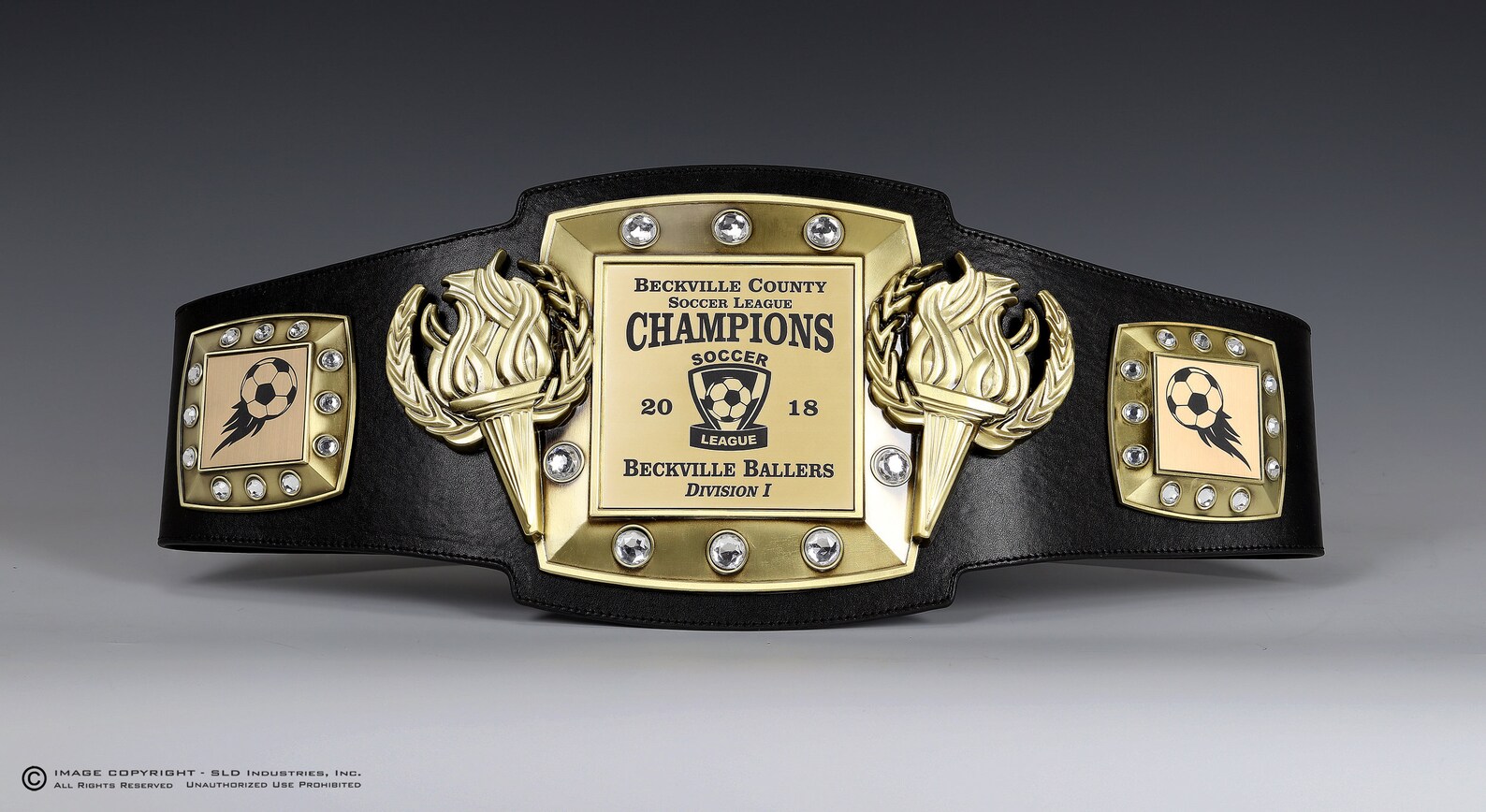 Soccer, Championship Belt, Trophy, Award, Perpetual, Personalized ...