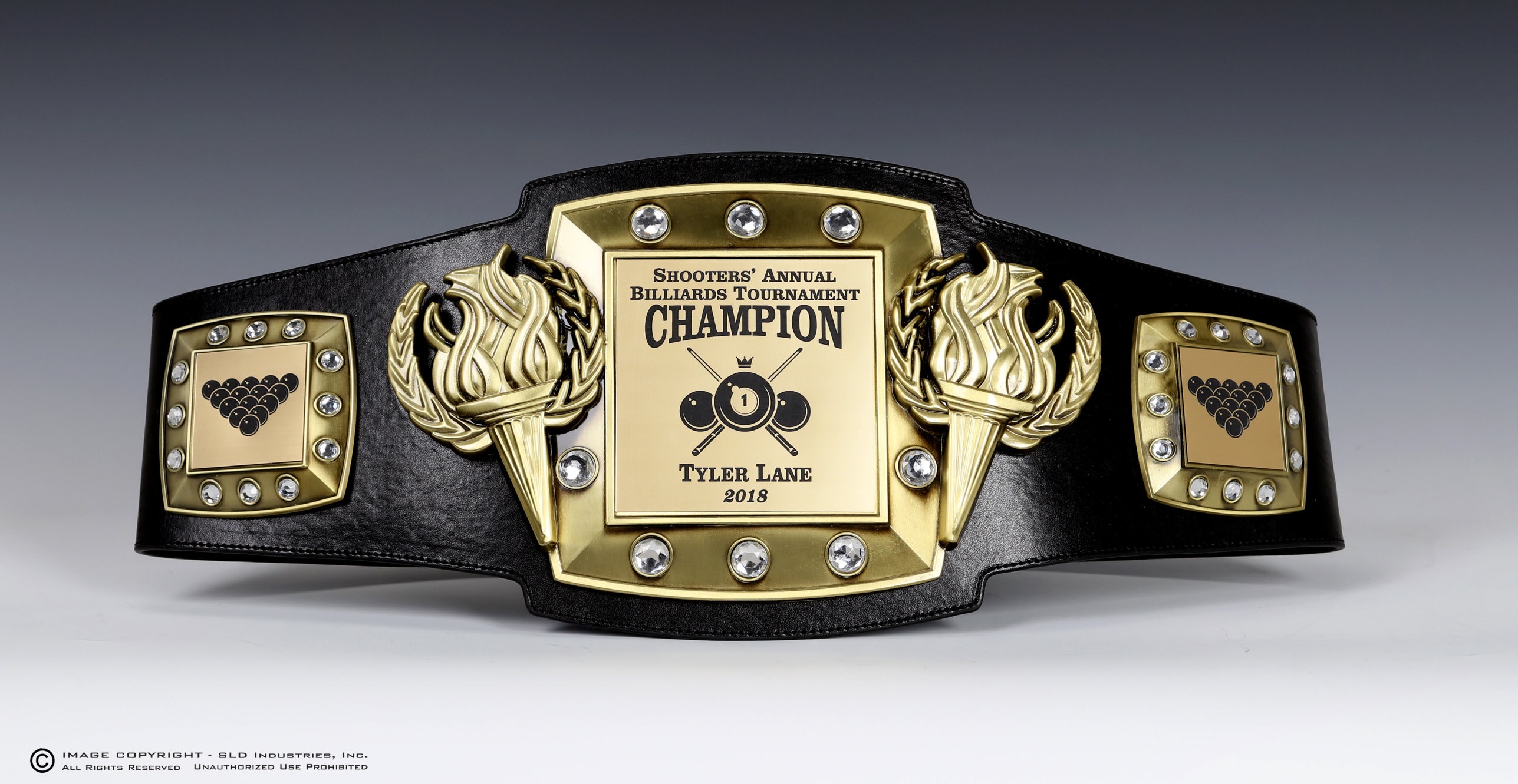 Billiards Pool Championship Belt Trophy Award Perpetual - Etsy