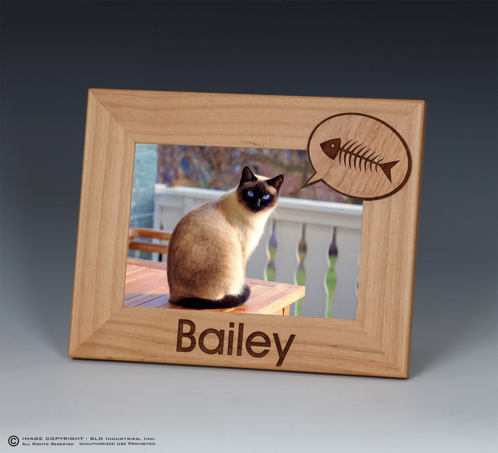 Cat Name Picture Frame Memorial Pet Picture Frame - Etsy