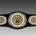 CAR RACING, Auto Racing, NASCAR, Championship Belt, Trophy, Award ...