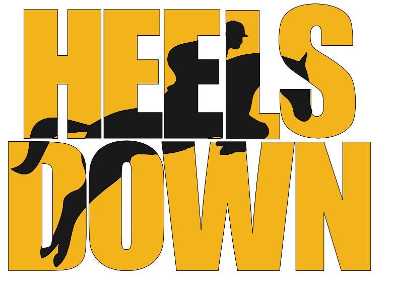 Vinyl Decal Horse Themed Vinyl Decal Jumper Decal Hunter | Etsy