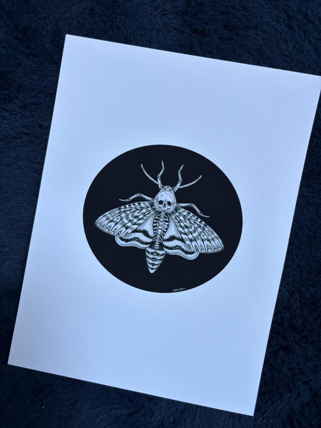 Illustrated A4 Gothic Death Moth Skull Entomology Bug Wall Art Print - Etsy