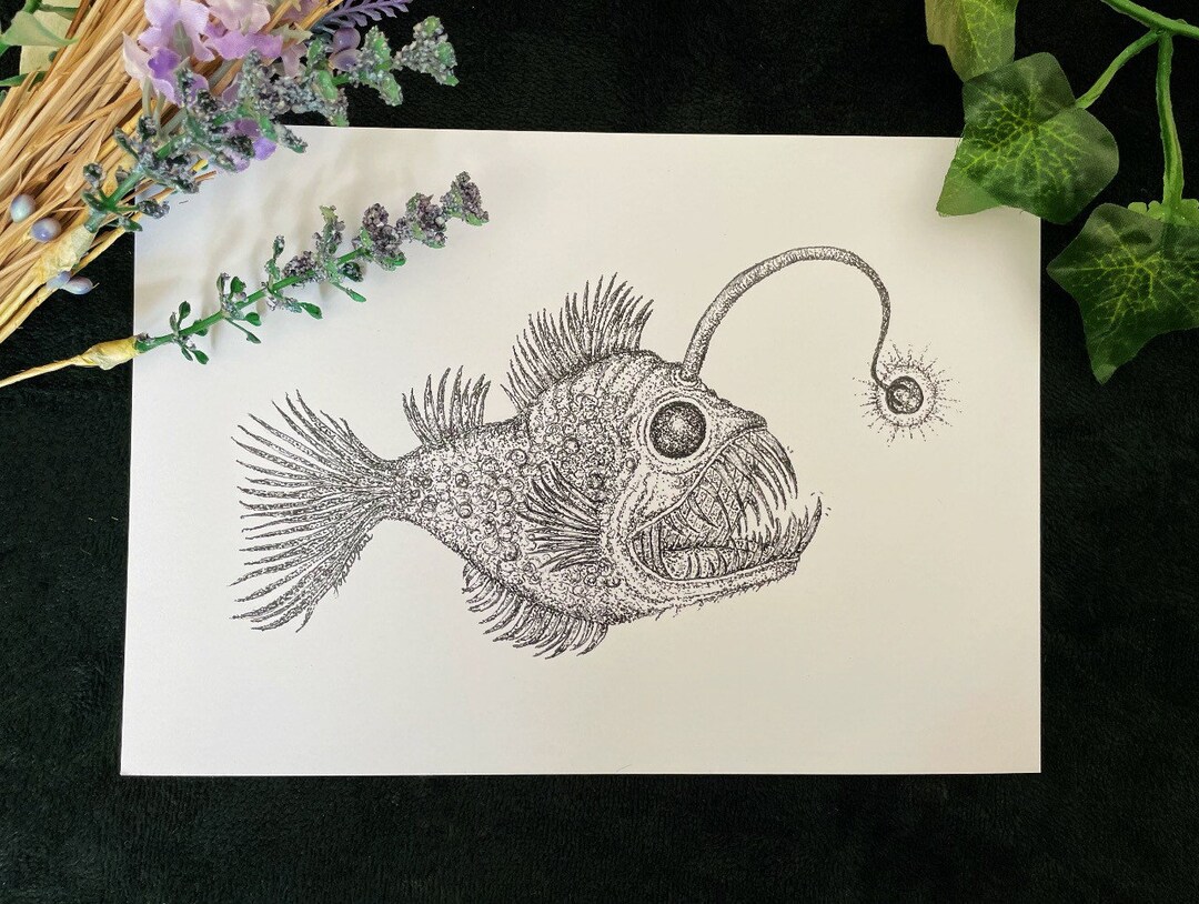 Angler Fish Black Sea Fish Gothic Wall Art Drawing Print A5 - Etsy