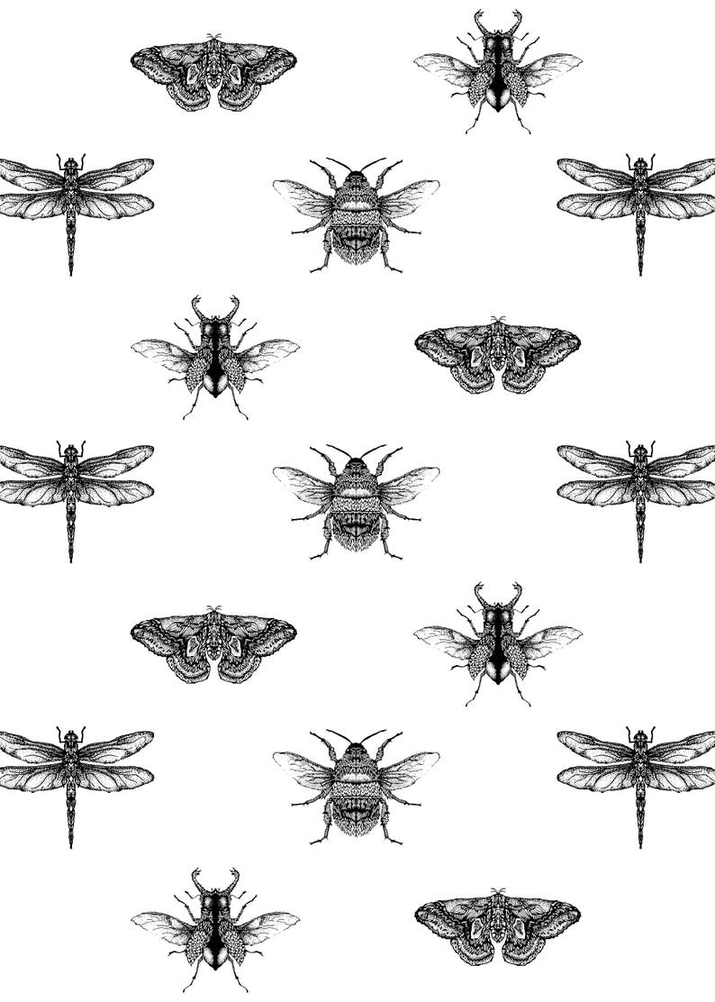 Bug Profile Wrapping Paper Single Sheet - Etsy