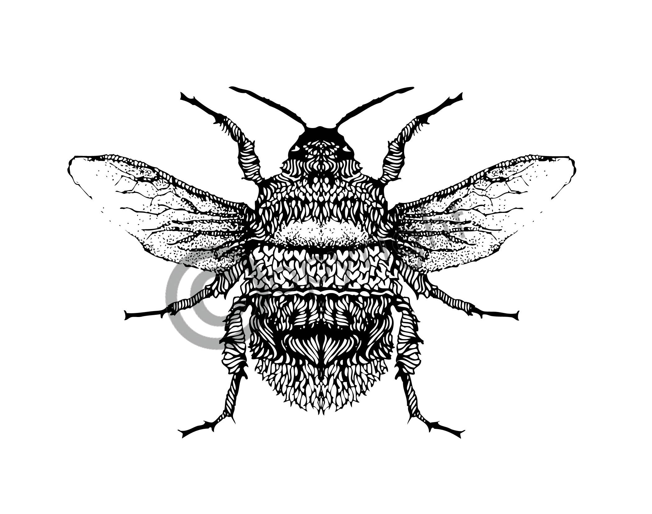 Bug Profiles Bombus. Bee Illustration Originally From a Pen Sketch ...