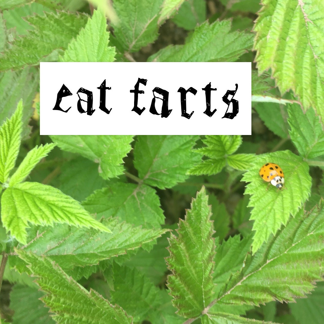 Eat Farts Bumper Sticker Funny Sticker Fart Joke Sticker for Laptop - Etsy