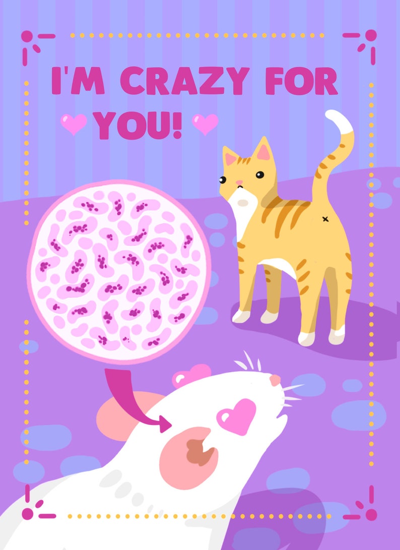 Parasite Valentines Variety Pack - 9 Cards - Etsy