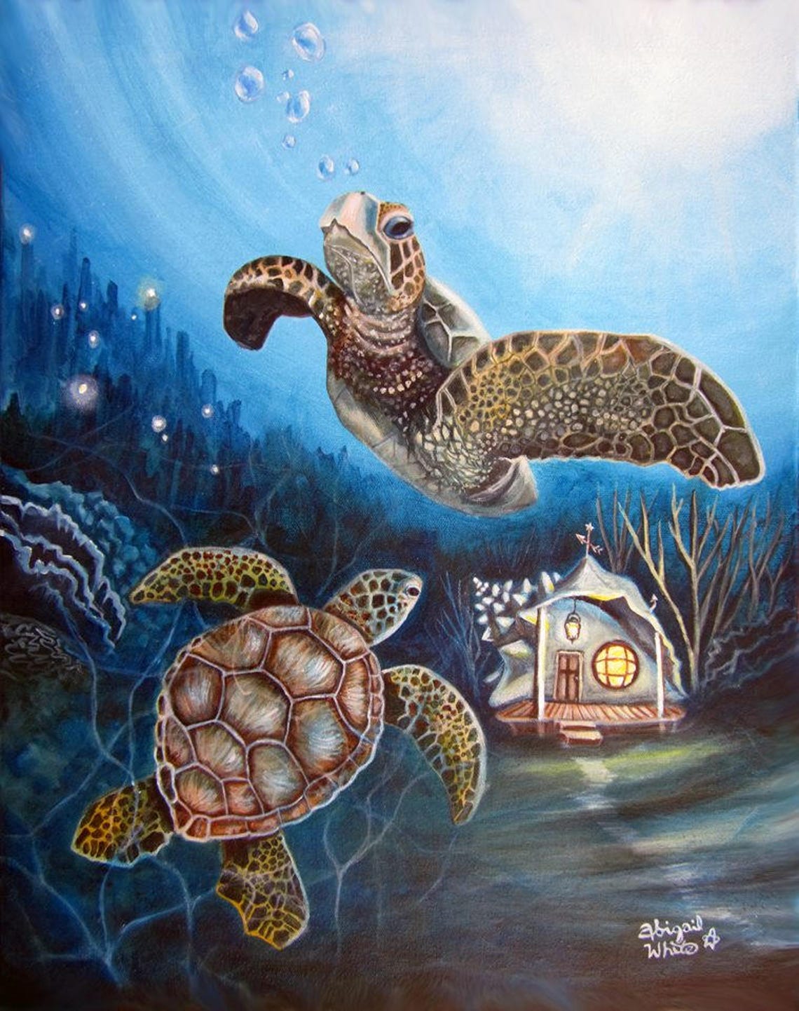 Green Turtle Conch House Key West | Etsy