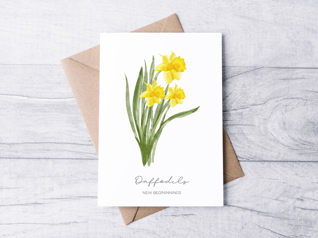 Daffodils Card, Blank Inside: A2 Flower Greetings Card, March Birth ...