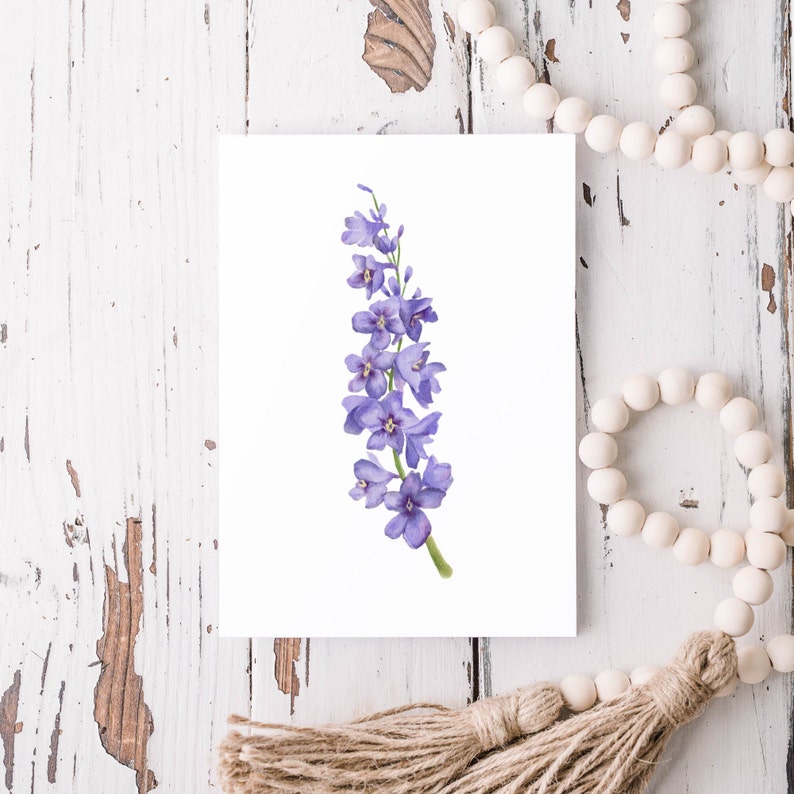 July Birth Flower: Larkspur Art Print - Etsy