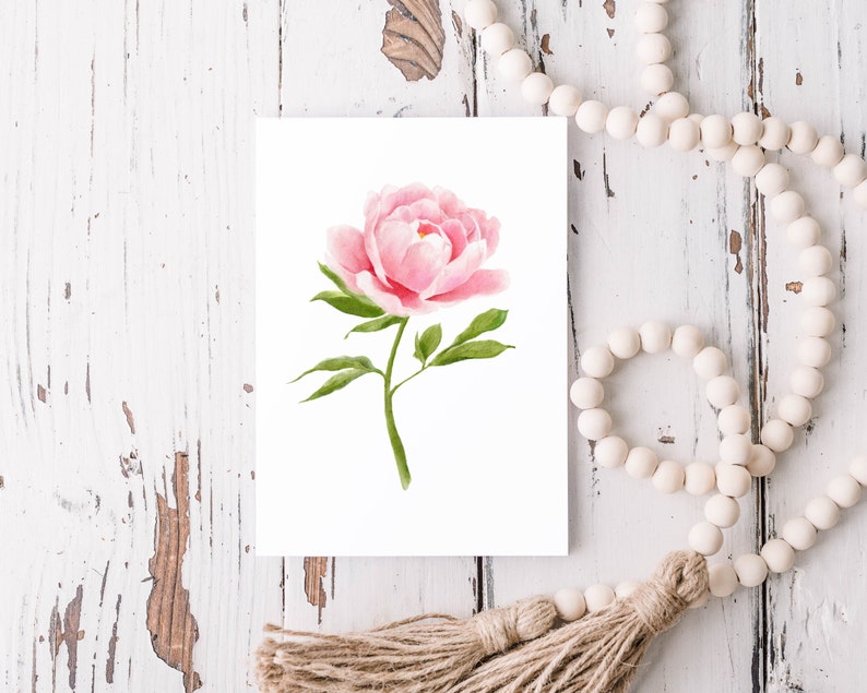 November Birth Flower: Peony Art Print - Etsy