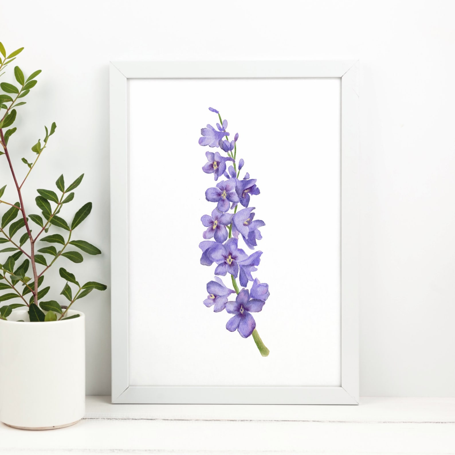 July Birth Flower: Larkspur Art Print - Etsy
