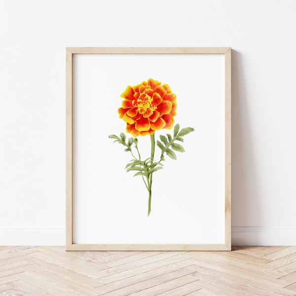 Marigold Print - Etsy