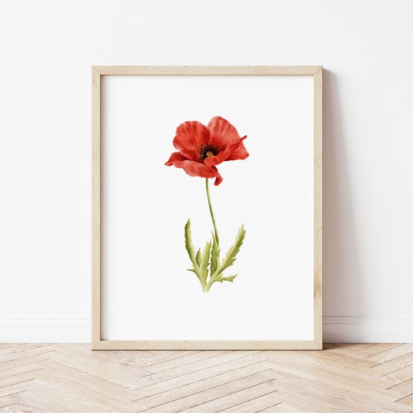 Poppy Art - Etsy