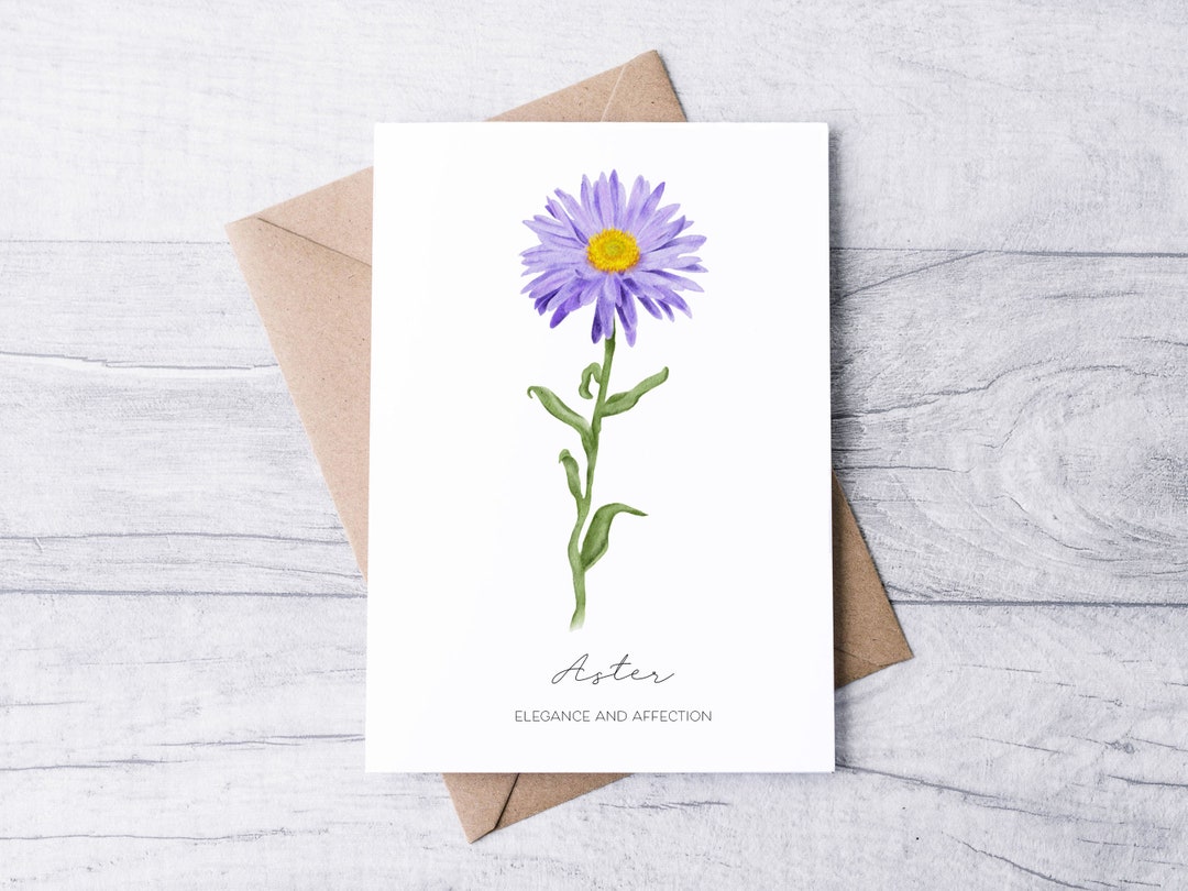 Aster Card, Blank Inside: A2 Flower Greetings Card, September Birth ...