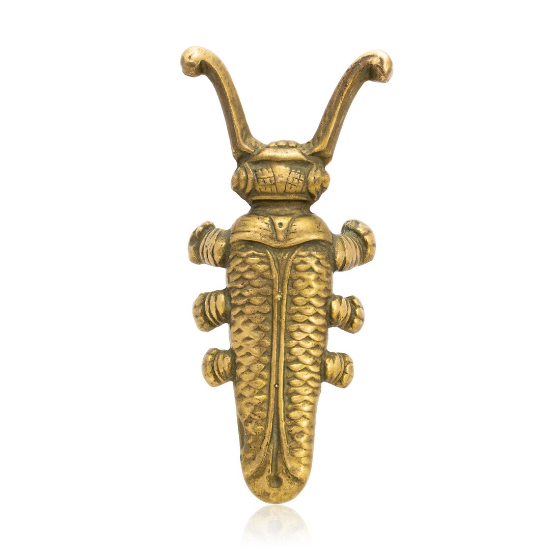 Ladies Bronze Bug Boot Jack - Etsy