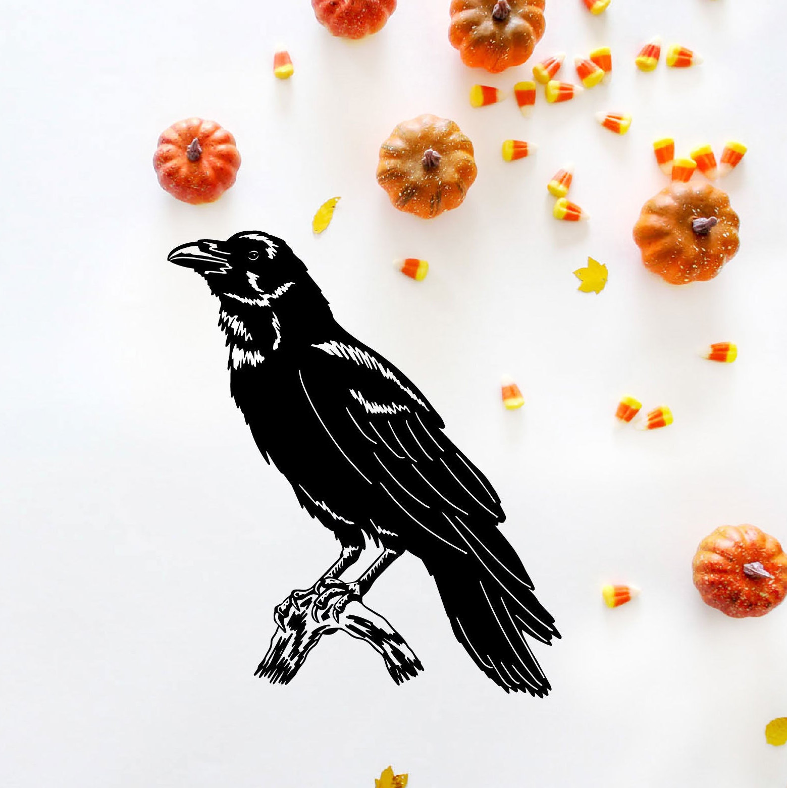 Raven SVG Bird Vector SVG Halloween Raven Clipart SVG - Etsy