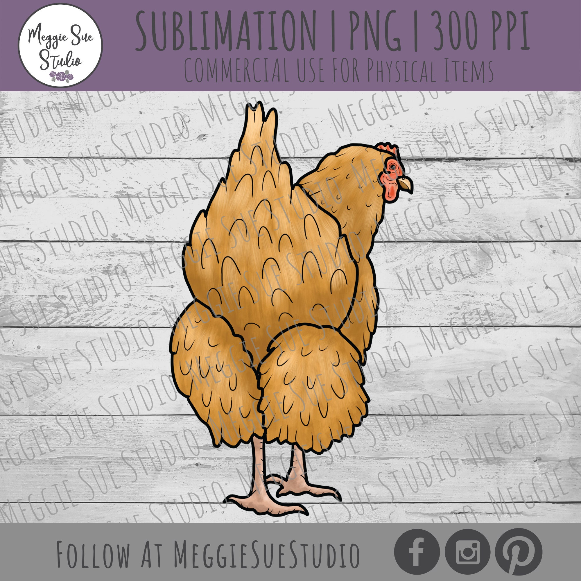 Chicken PNG, Fluffy Butt Chicken PNG, Leghorn Barred Rock Brown Hen ...