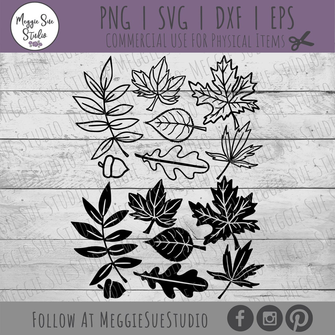 Fall Leaves Bundle SVG, Autumn Leaves Graphic Bundle SVG, Fall Foliage ...