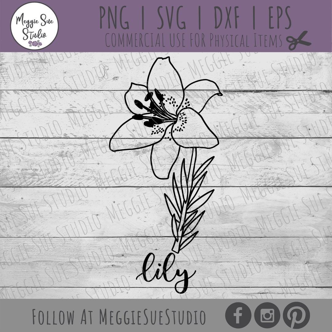 Lily SVG, Hand Drawn Lily Graphic SVG, Lily Flower Clipart SVG, Lily ...