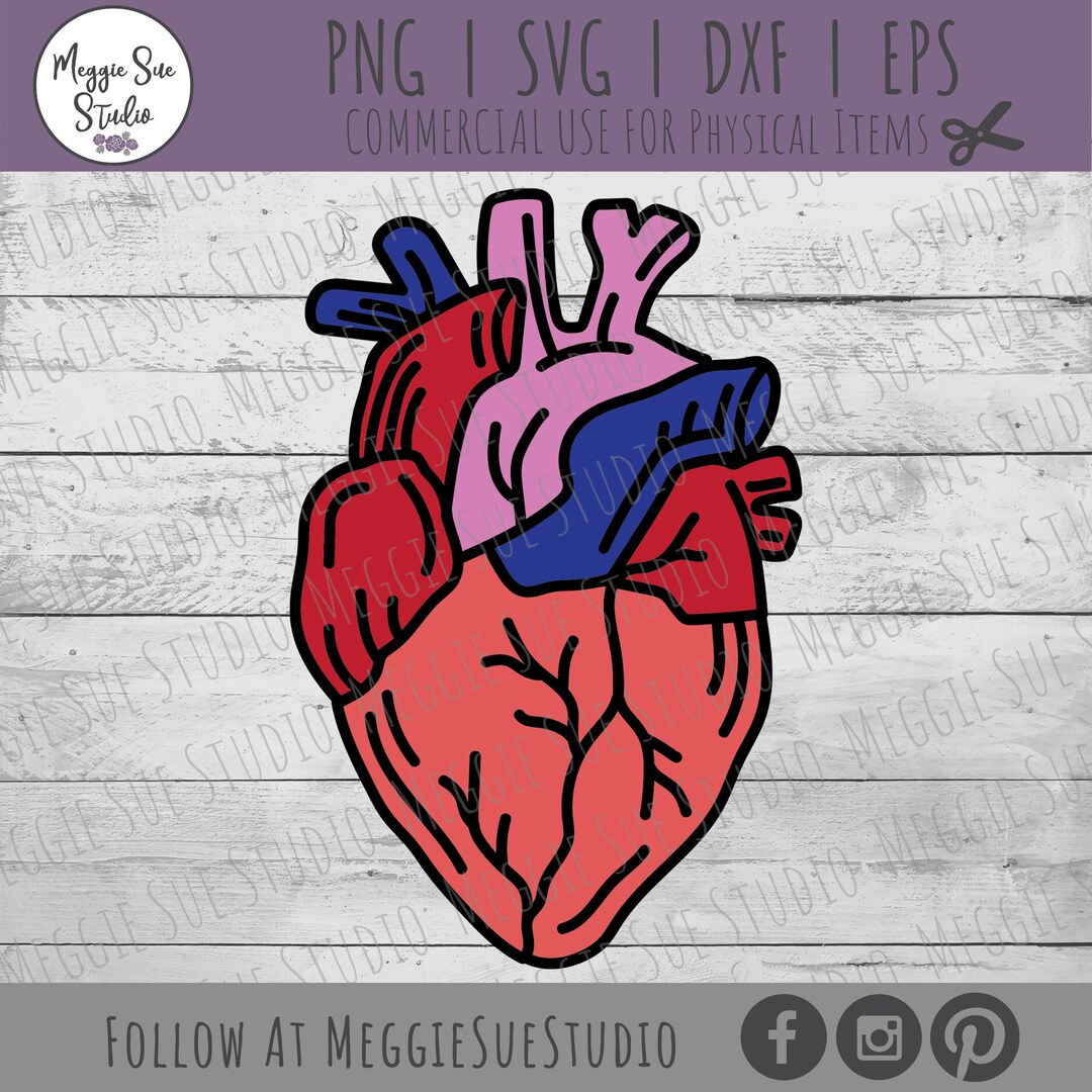 Anatomical Heart SVG, Human Heart SVG, Cartoon Anatomical Heart SVG ...