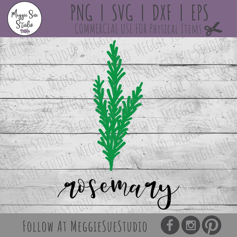Rosemary SVG, Rosemary Plant SVG, Rosemary Herb SVG, Rosemary Vintage ...