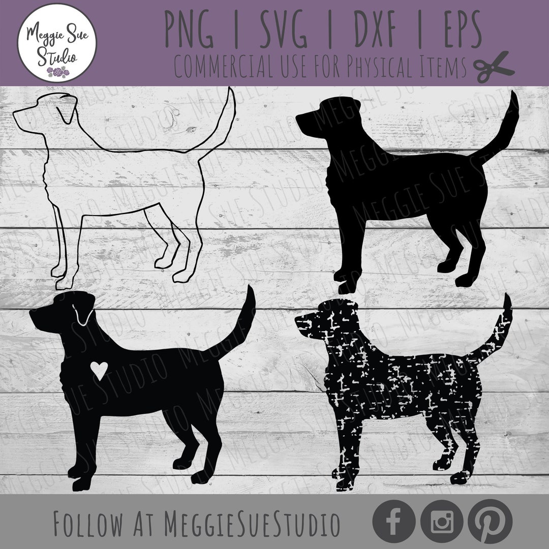 Labrador Retriever SVG, Yellow Black Chocolate Silver Lab SVG Bundle ...