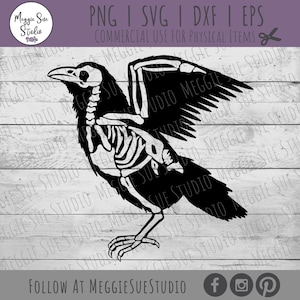Bird Skeleton SVG, Raven Bird Bones SVG, Halloween Bird Skeleton SVG ...