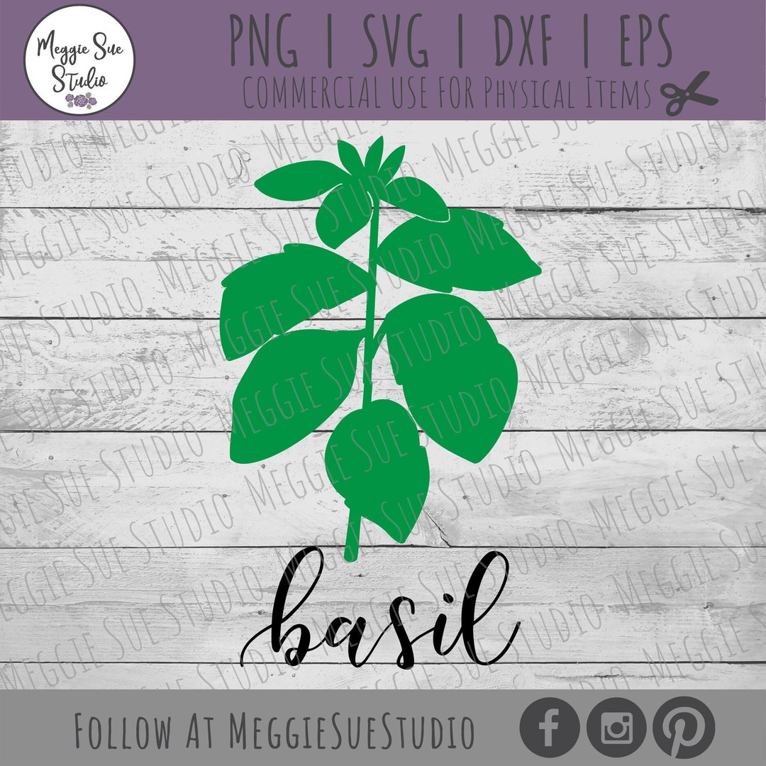 Basil SVG, Sweet Basil SVG, Basil Plant SVG, Basil Clipart, Vintage ...