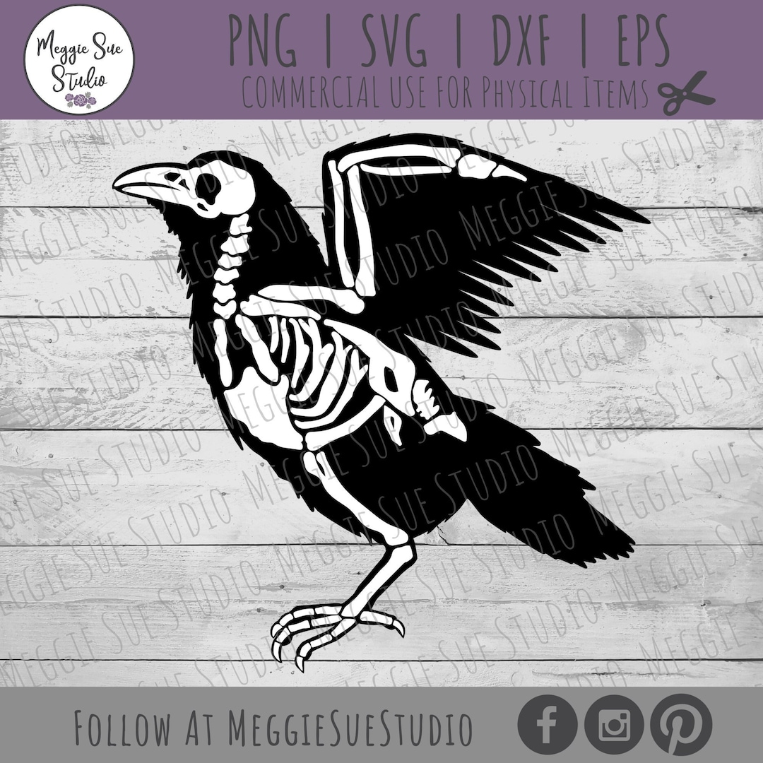 Bird Skeleton SVG, Raven Bird Bones SVG, Halloween Bird Skeleton SVG, Crow Bones Bird Skull Png ...