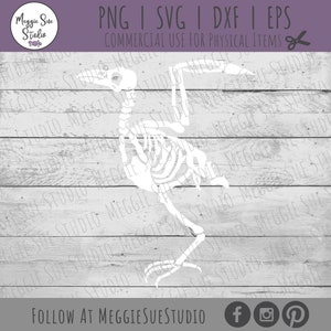 Bird Skeleton SVG, Raven Bird Bones SVG, Halloween Bird Skeleton SVG ...