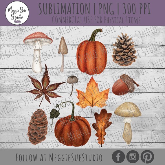 Watercolor Fall Foliage Bundle PNG Watercolor Autumn Leaves - Etsy