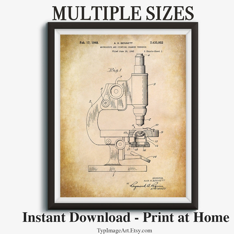 Microscope Art - Etsy