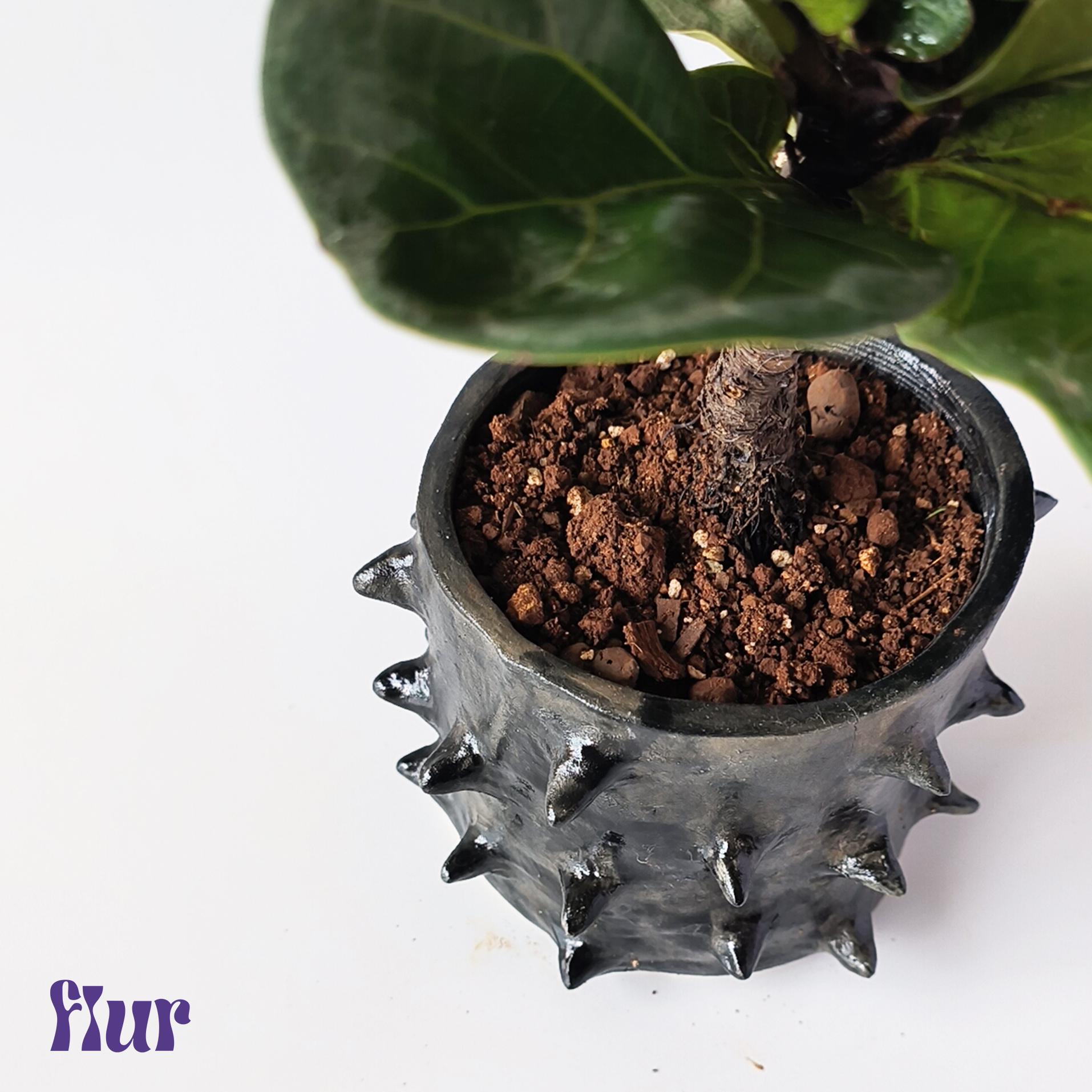 Handmade Ceramic Planter Pot, Spikes Design, Black Minimal Planter With ...