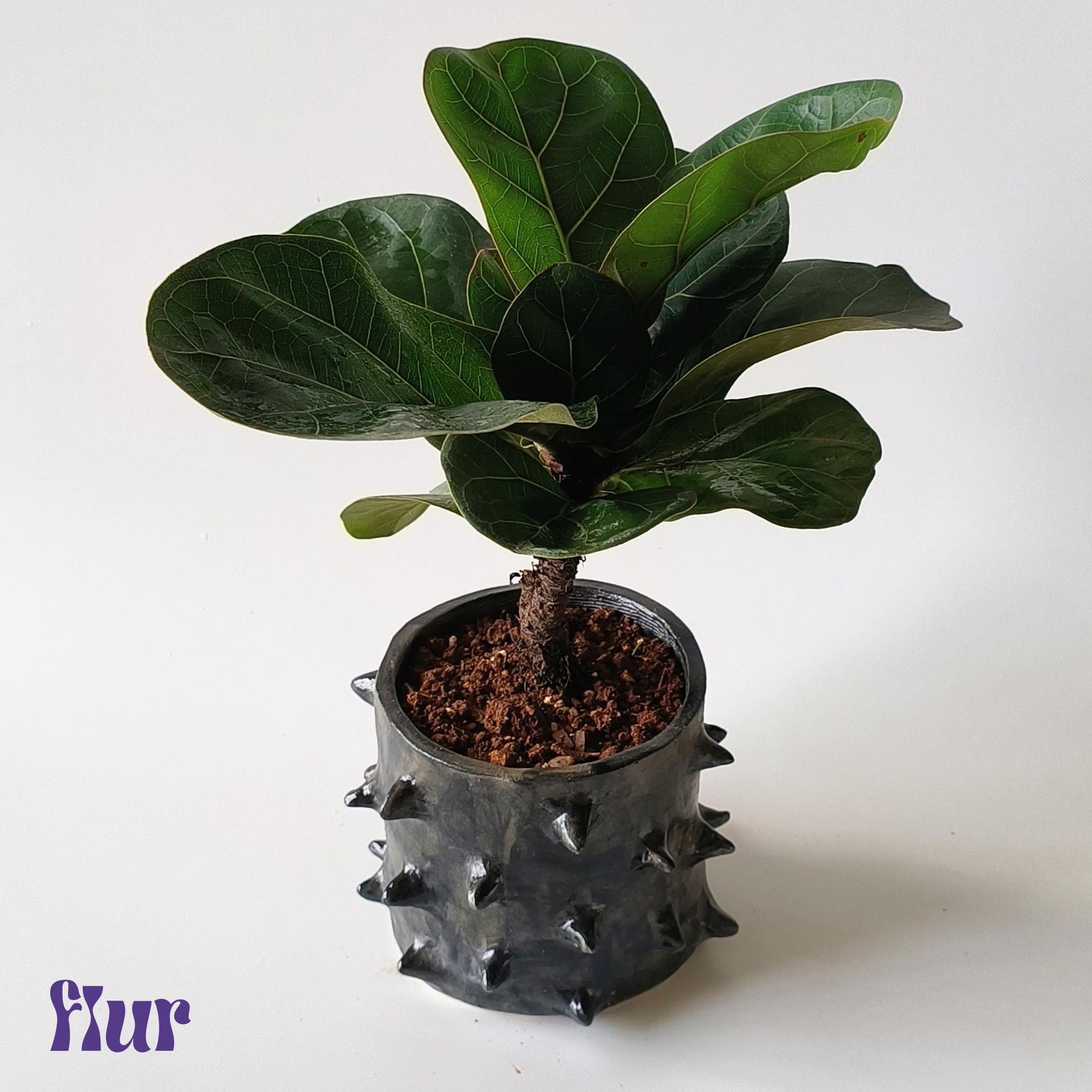 Handmade Ceramic Planter Pot, Spikes Design, Black Minimal Planter With ...