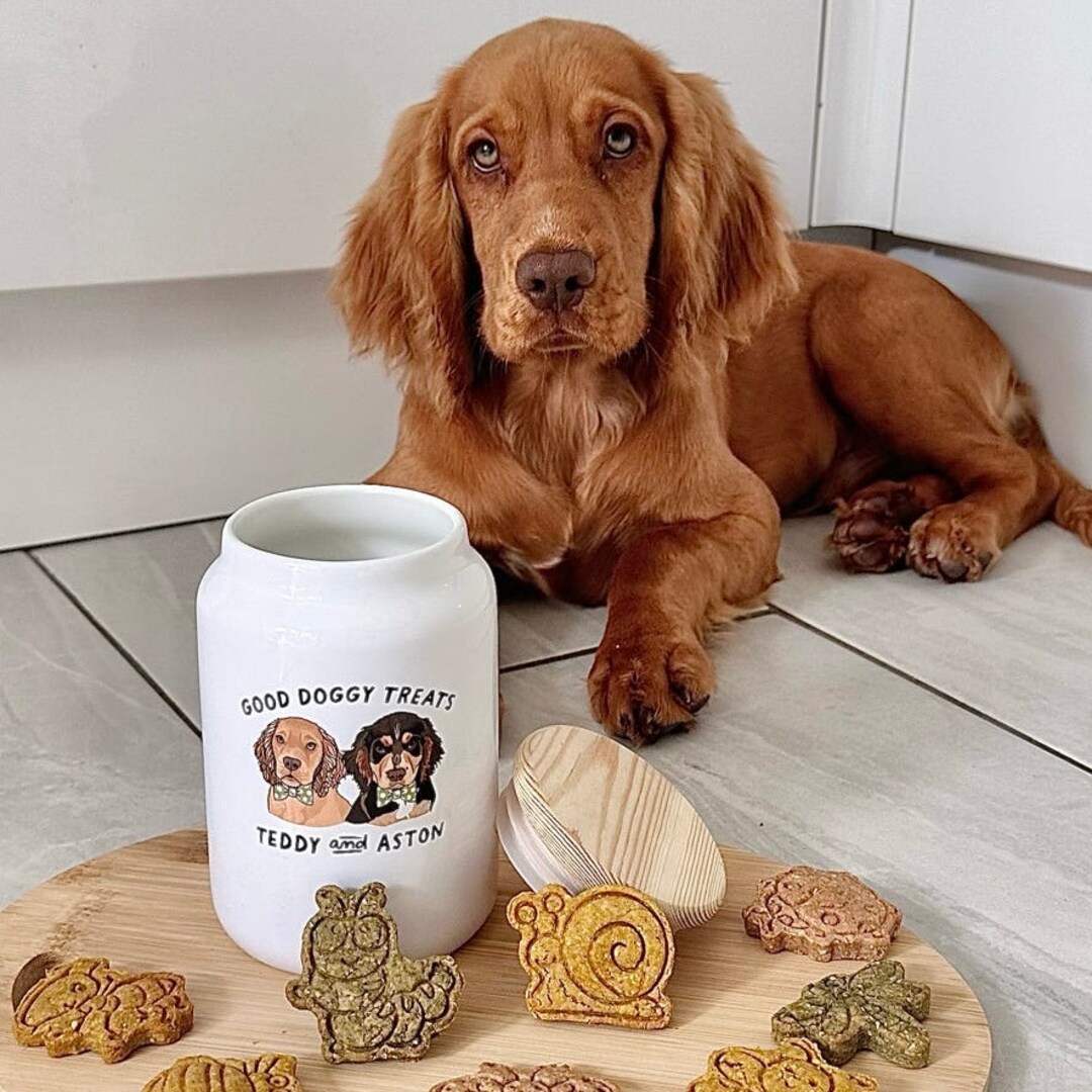 Personalised Good Dog Treat Jar, Gift for Dog Birthday, Custom Pet ...