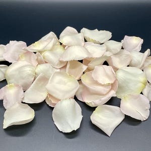 Rose Petals, Bashful, REAL Freeze Dried Rose Petals, All Natural and ...