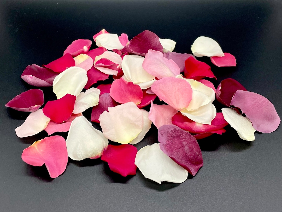 Rose Petals, Romance Blend, REAL Freeze Dried Rose Petals, All Natural ...
