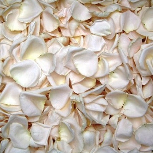 All Natural Rose Petals & Buds - Etsy