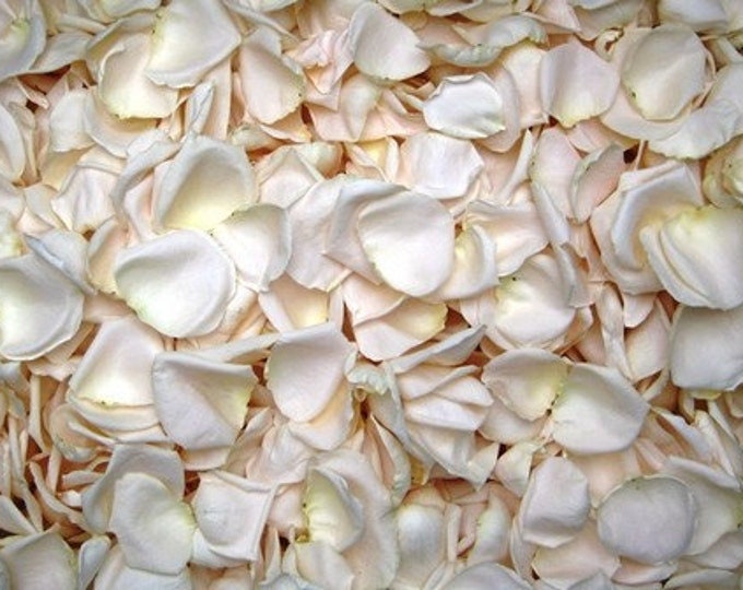 Freeze Dried Rose Petals Ivory REAL Rose Petals Perfectly - Etsy UK